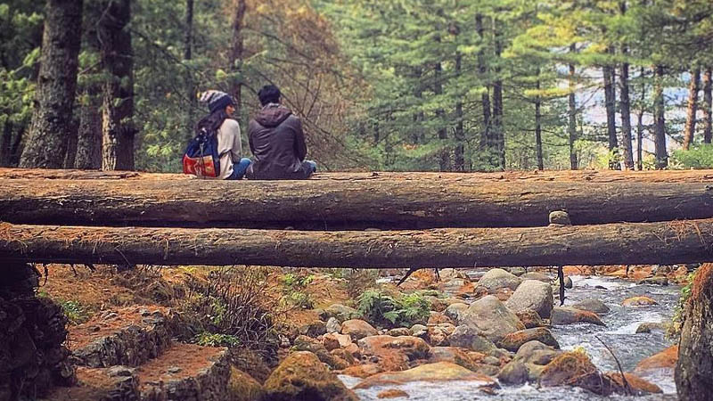 October trailer shows Varun Dhawan and Banita Sandhu’s journey of love ...